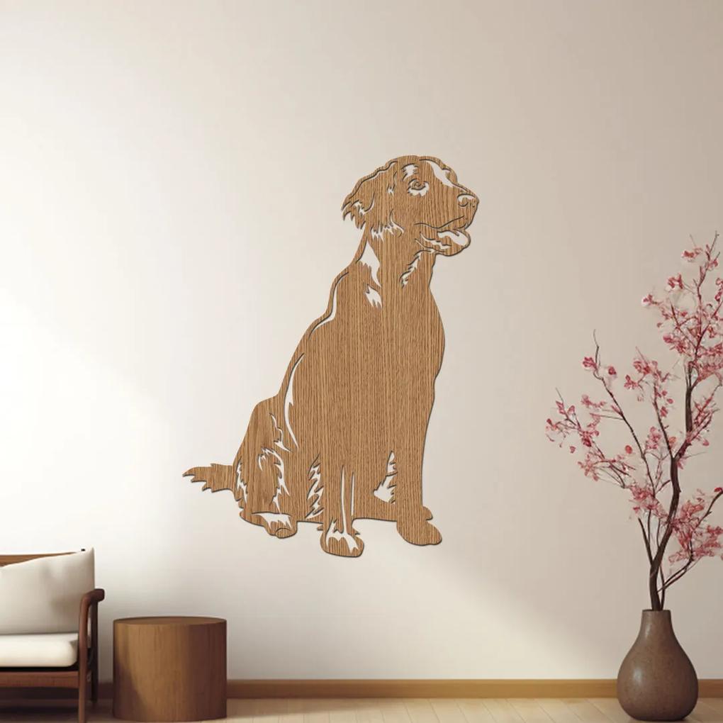 dřevo života Dřevěný obraz psa Flat coated retriever Rozměry (cm): 45x60, Barevný vzor: Šedá