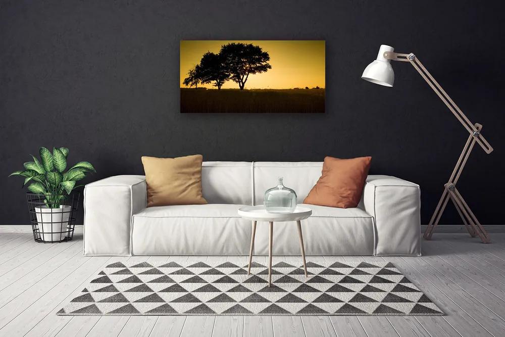 Obraz na plátně Stromy Příroda Rostlina 120x60 cm