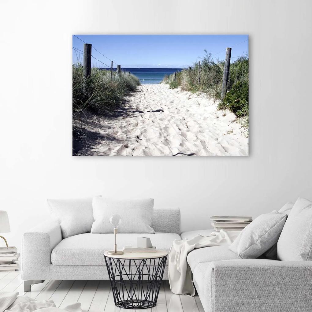 Gario Obraz na plátně Cesta přes duny Rozměry: 60 x 40 cm