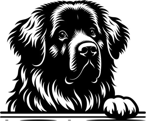 Samolepka pes Leonberger
