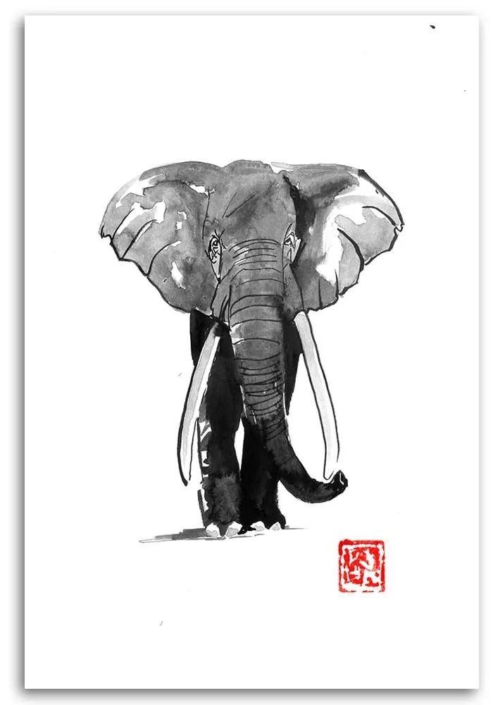 Gario Obraz na plátně Černobílý slon - Péchane Rozměry: 40 x 60 cm