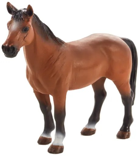 Mojo Trakénský kůň