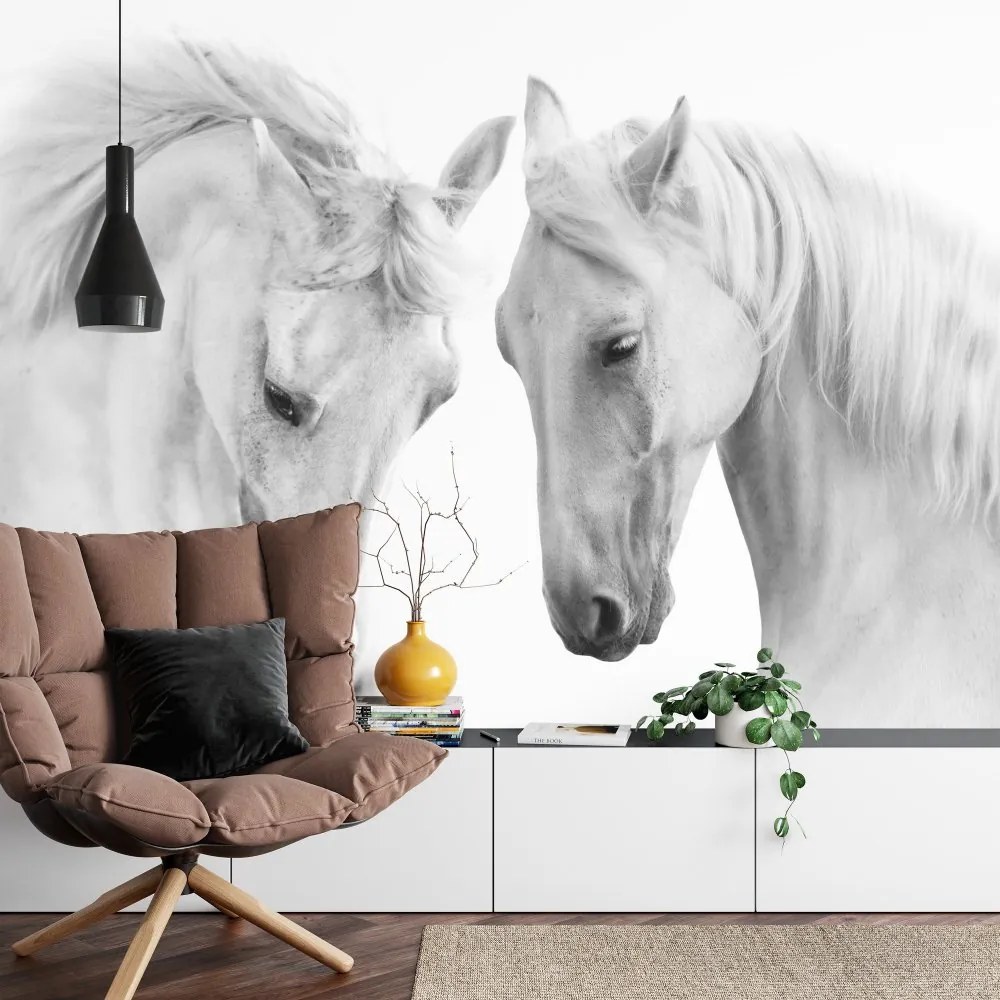 Fototapeta Dva Bílí Koně 3D Omyvatelný vlies 520x318
