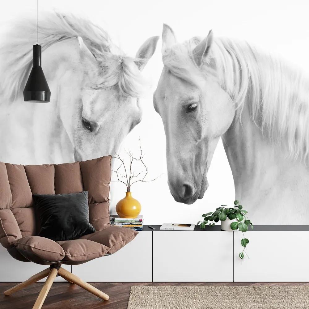 Fototapeta Dva Bílí Koně 3D Samolepící tapety 520x318