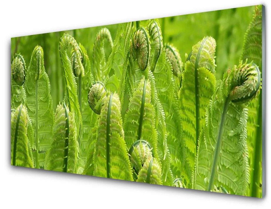 Obraz na skle Rostlina Příroda 125x50 cm