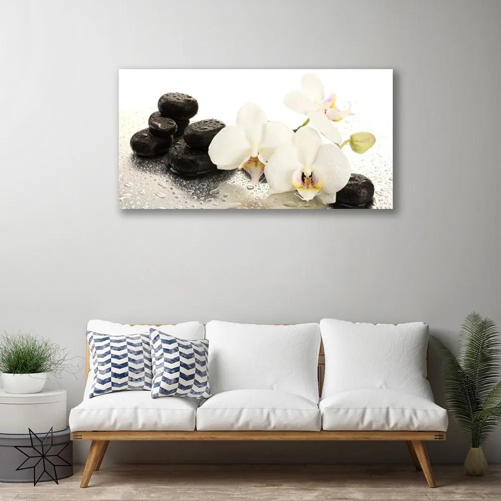 Obraz na plátně Květ Kameny Rostlina 140x70 cm