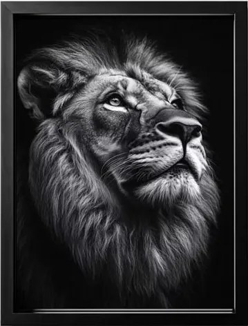 Hrdý vládce - obraz - Majestátní lev v černobílém stylu 14 - 70 x 100 cm - 1 149 Kč
