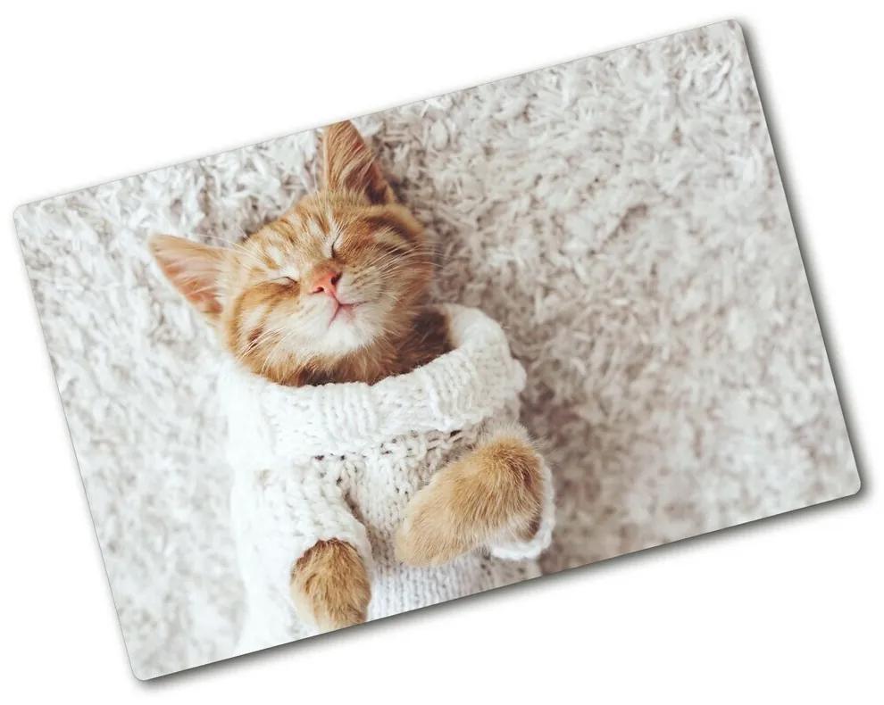 Wallmuralia Kuchyňská deska skleněná Kočka ve svetru 80x52 cm