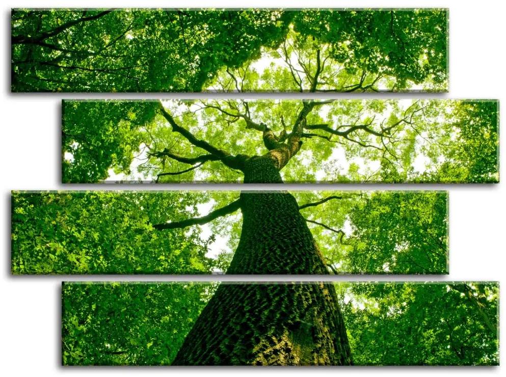 Obraz Pod stromem Velikost (šířka x výška): 145x100 cm