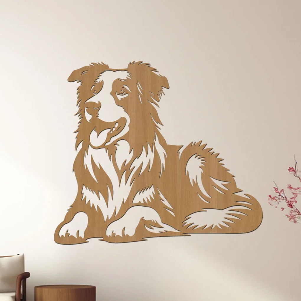 dřevo života Dřevěná dekorace psa BORDER COLLIE Zvolte rozměr (cm): 60x51, Zvolte barvu dekoru: Wenge
