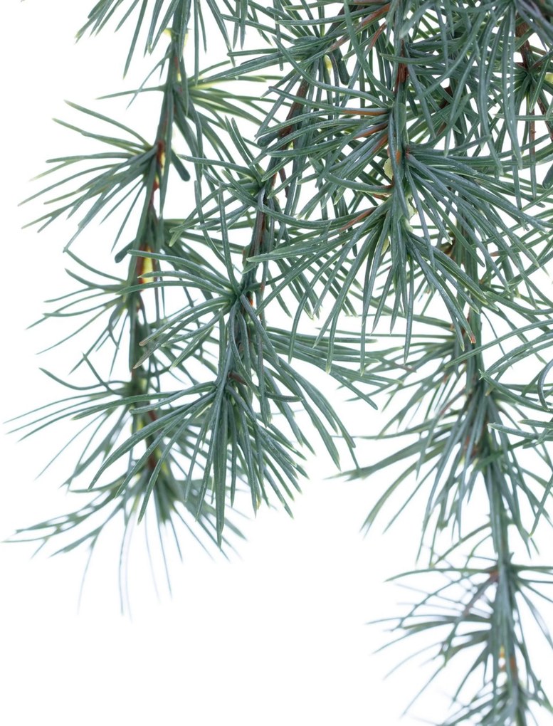 Větvička Christmas Tree 30x2x60cm light green