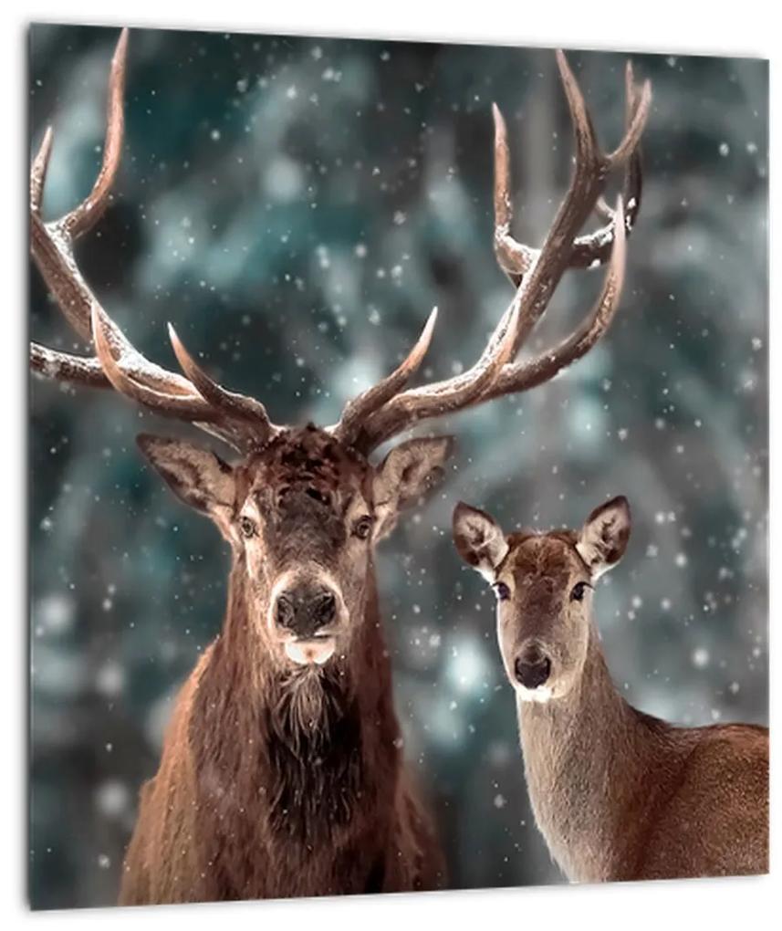 Obraz - Jelen a laň v zasněženém lese (30x30 cm)
