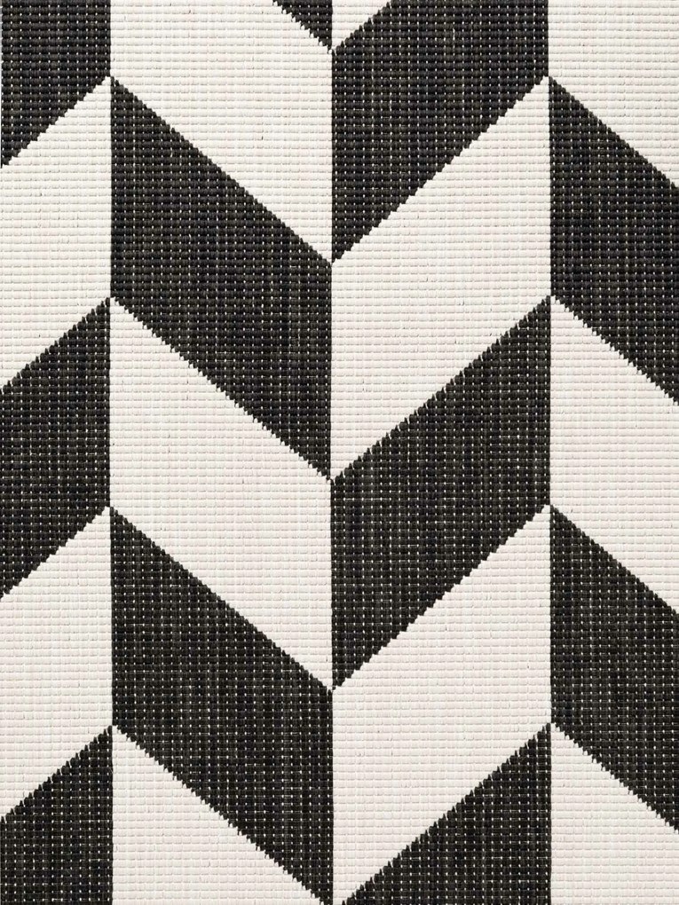Ted Baker, Kusový koberec Ted Baker Haringey 106378 Black White, 120x170, černobílá, chodba / předsíň