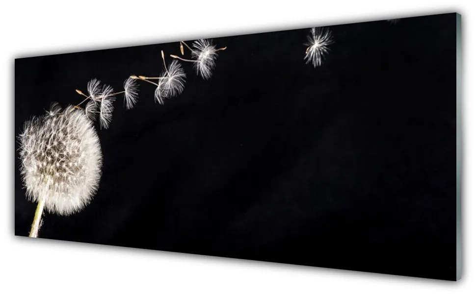 akrylový obraz Pampeliška Rostlina 125x50 cm