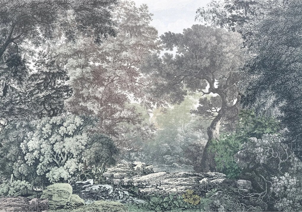 Komar Vliesová fototapeta Fairytale Forest 400 x 280 cm