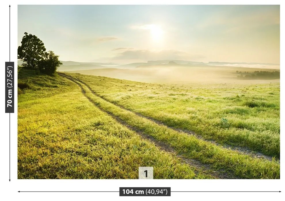 Fototapeta Louka a východ slunce 104x70