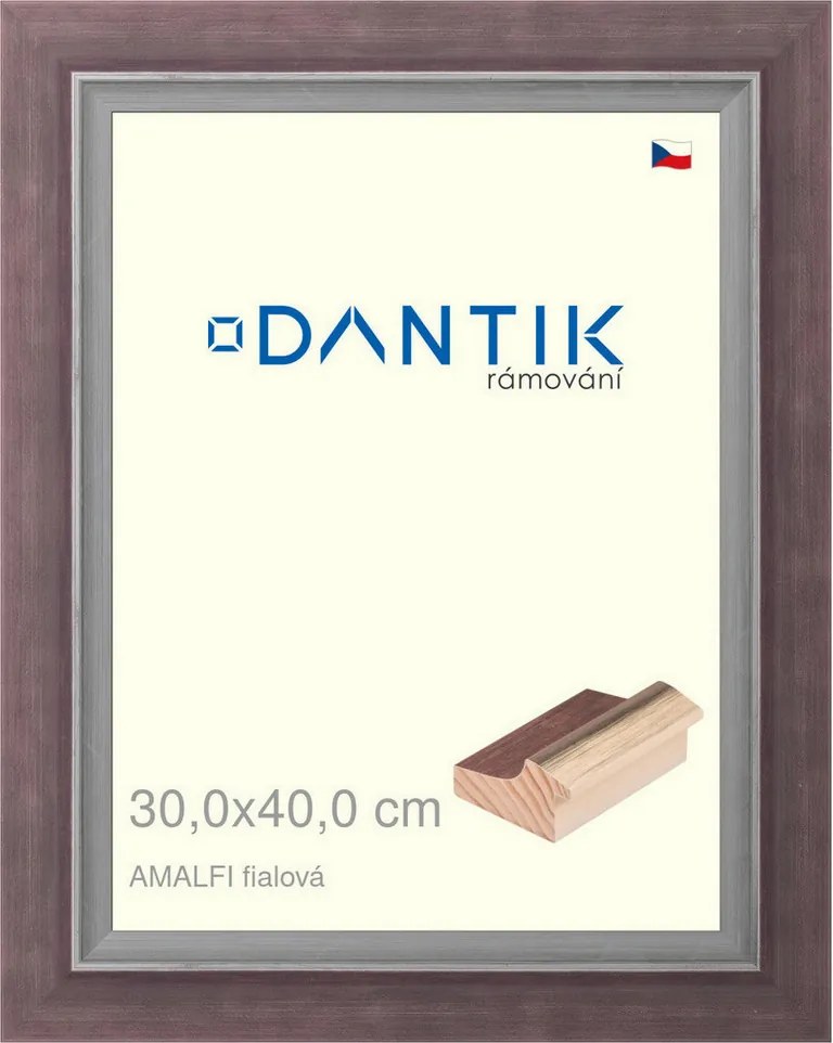 DANTIK rámeček 30x40 | AMALFI fialová (Plexi Čiré)