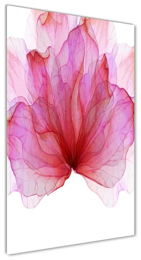 Wallmuralia Moderní akrylový fotoobraz Růžový květ 60x120 cm