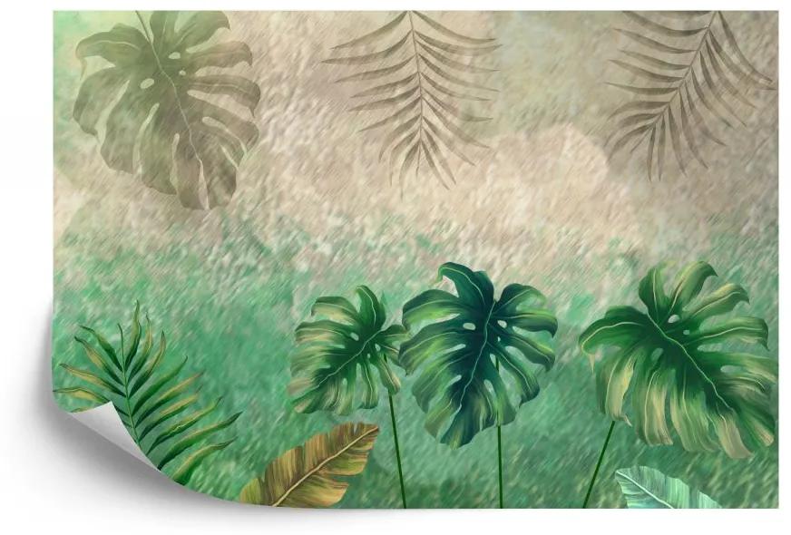 Fototapeta Tropické Rostliny Na Abstraktní Pozadí Hladký vinyl 270x180