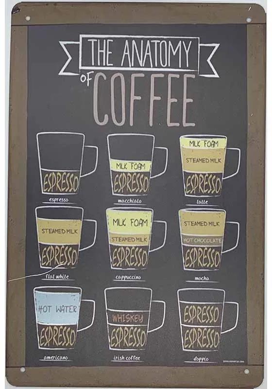 Cedule The Anatomy Coffee