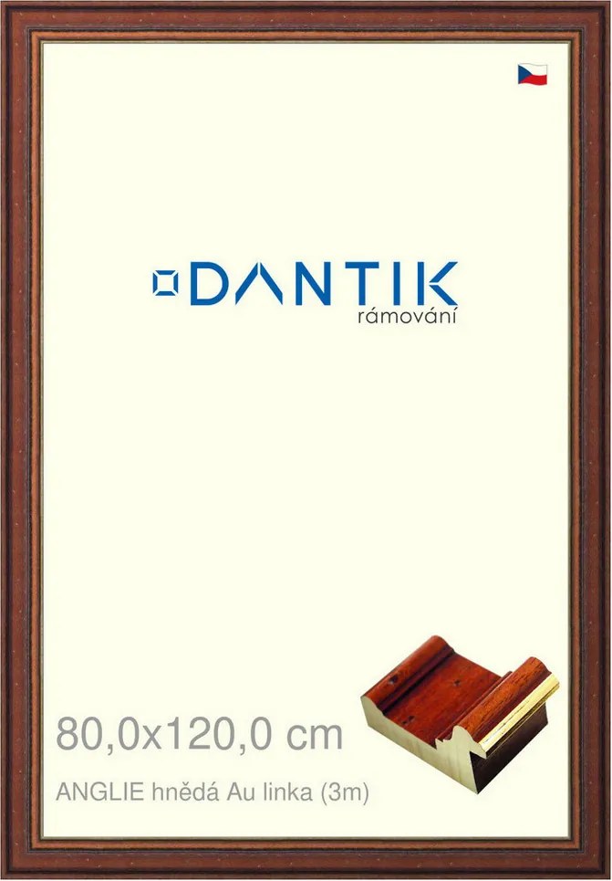 DANTIK rámeček 80x120 | ANGLIE hnědá Au linka (Plexi Čiré)