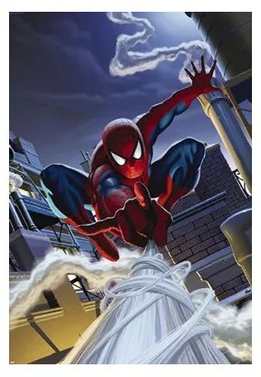 FOTOTAPETA SPIDERMAN-ROOFTOP 1-424