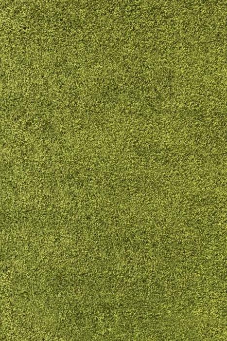 Hans Home | Kusový koberec Life Shaggy 1500 green - 80x250