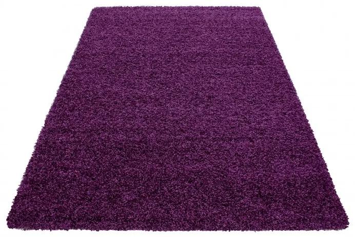 Ayyildiz koberce Kusový koberec Dream Shaggy 4000 lila Rozměry koberců: 160x230