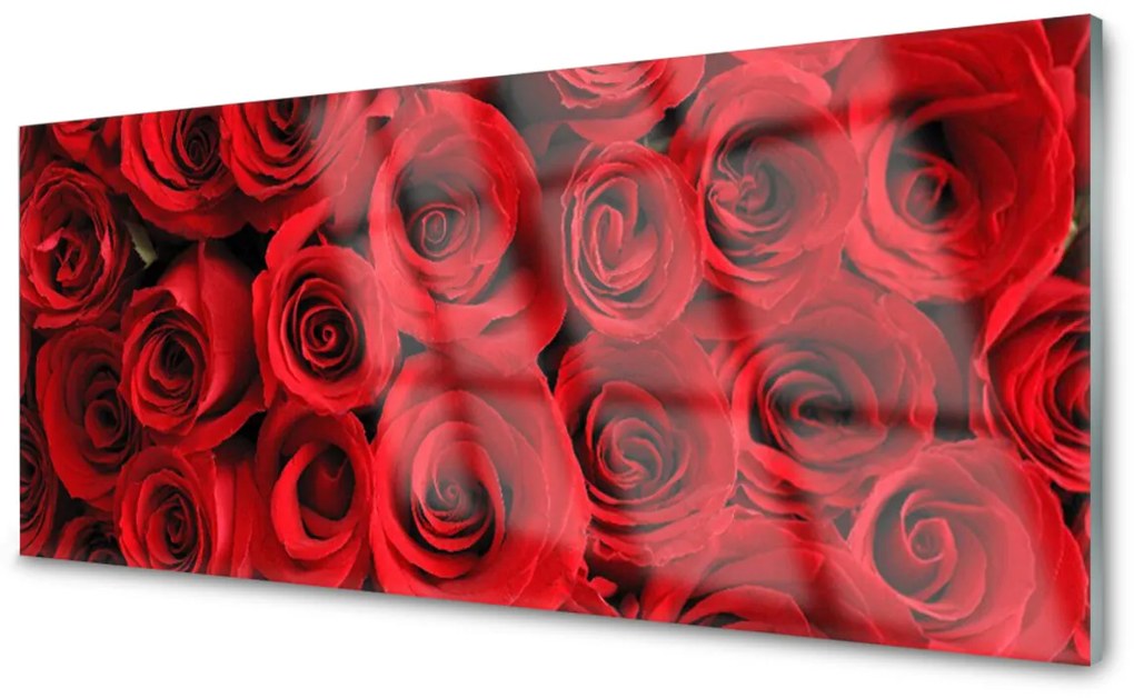 Obraz na skle Skleněný Růže Květiny