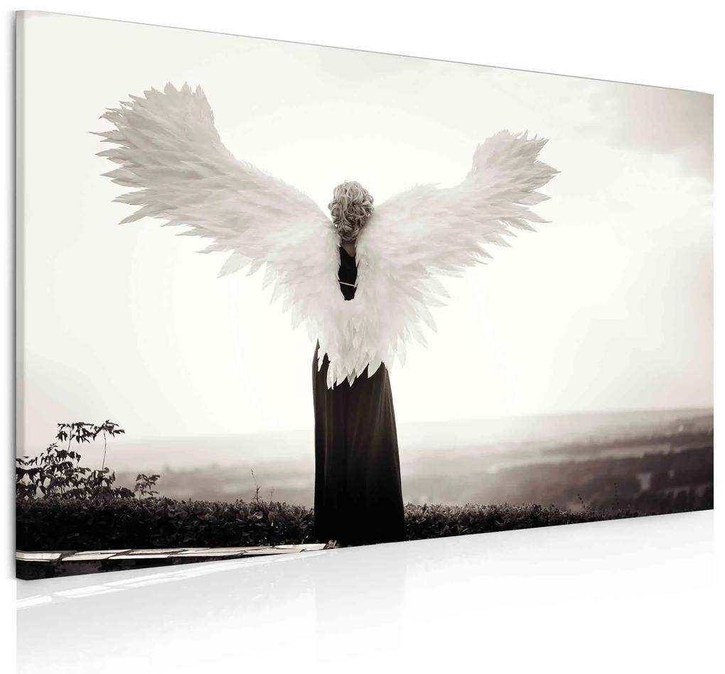 Malvis ® Obraz na stěnu Anděl Velikost: 80x50 cm