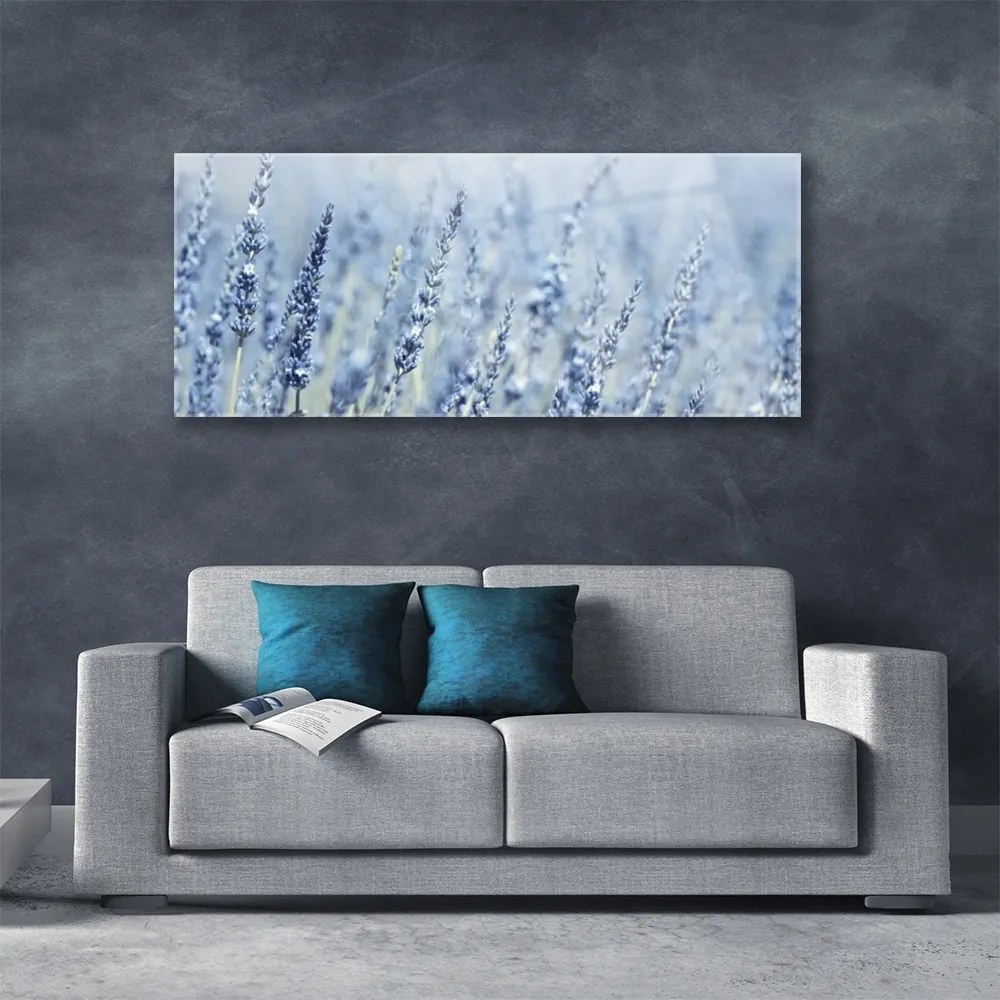 Plexisklo-obraz Květiny Klasy Louka Příroda 125x50 cm