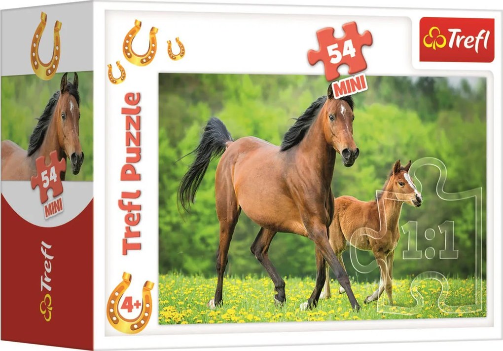 TREFL PUZZLE Koně foto mini 20x13cm skládačka 54 dílků 4 druhy tr54193