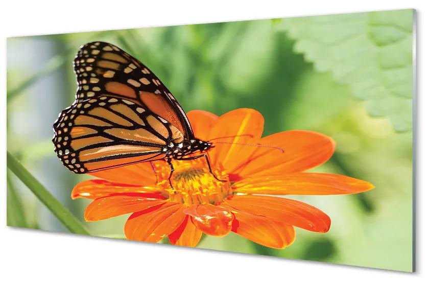 akrylový obraz Květ barevný motýl 100x50 cm