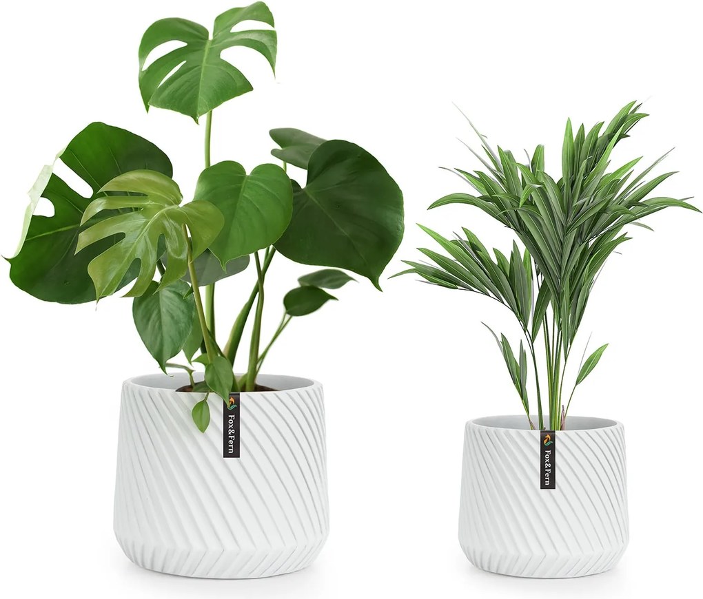 Fox & Fern Heusden, sada 2 květináčů, polyston, vhodný na rostliny, ruční výroba, 3D vzhled
