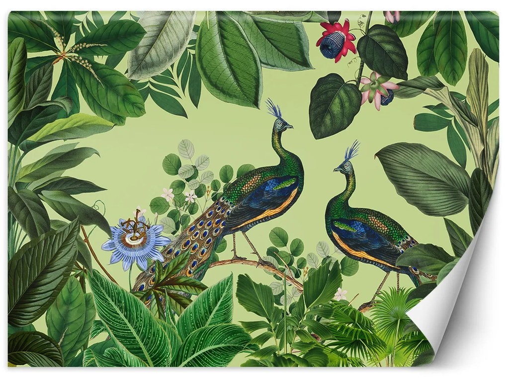Gario Fototapeta Pávy v tropickém parku - Andrea Haase Materiál: Vliesová, Rozměry: 200 x 140 cm