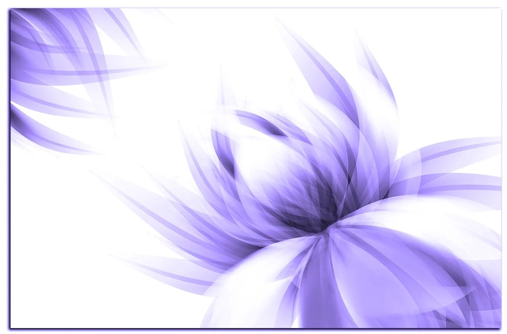 Obraz na plátně - Elegantní květ 1147VA (60x40 cm)