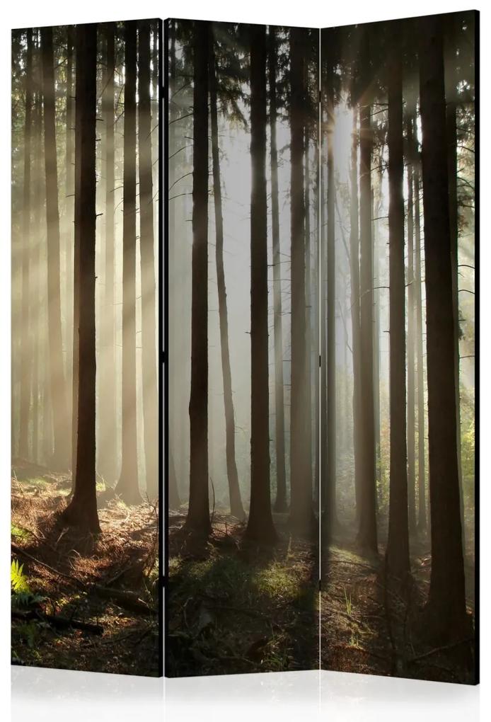 Paraván - Coniferous forest [Room Dividers]