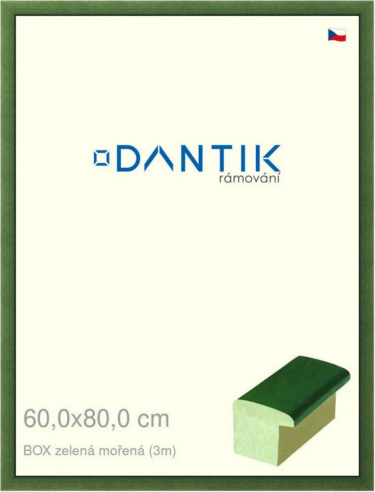 DANTIK rámeček 60x80 | BOXzelená mořená (Plexi Čiré)
