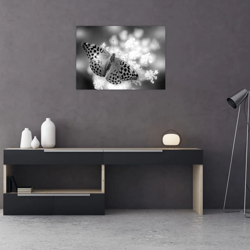 Skleněný obraz - Detail motýla opylující květ (70x50 cm)