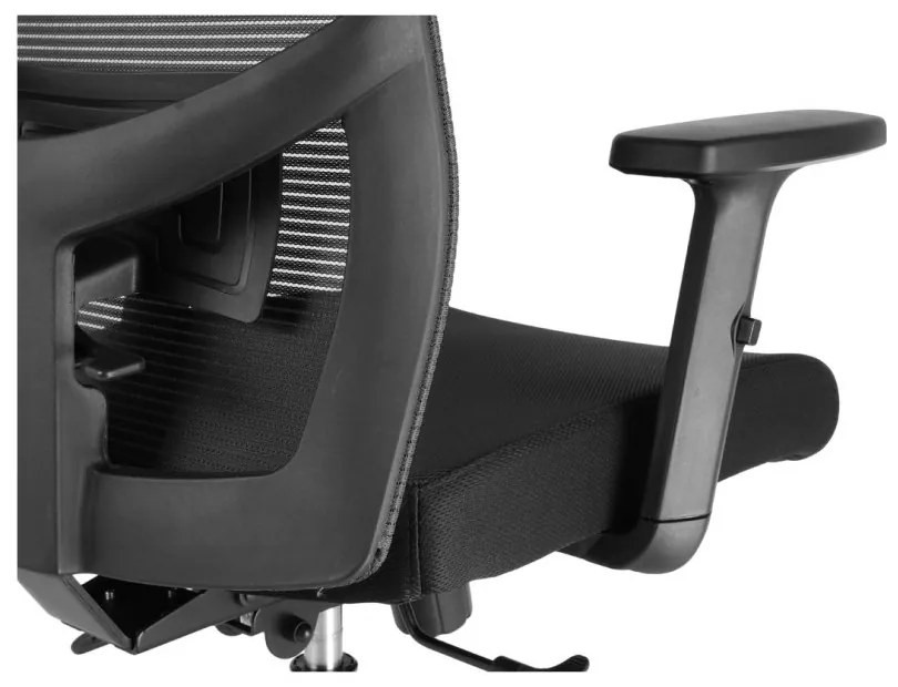 Kancelářská ergonomická židle ERGODO AVILA — černá, nosnost 150 kg