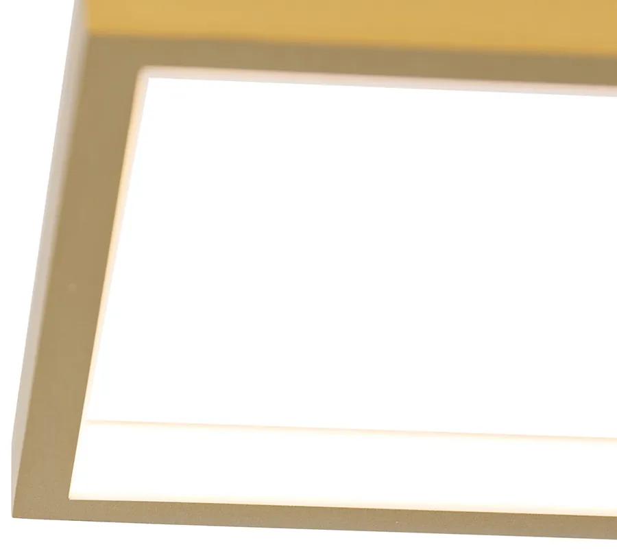 Stropní svítidlo zlaté včetně LED 3-stupňové stmívatelné 4-světlo - Lejo