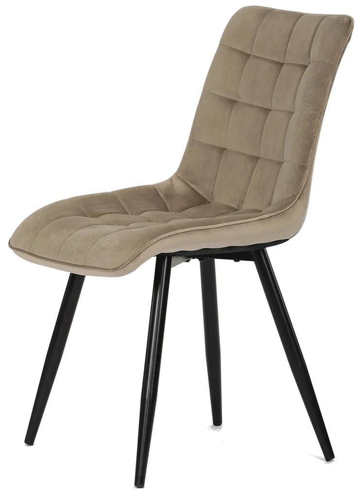 Jídelní židle, potah v krémovém sametu, kovové podnoží v černé práškové barvě
