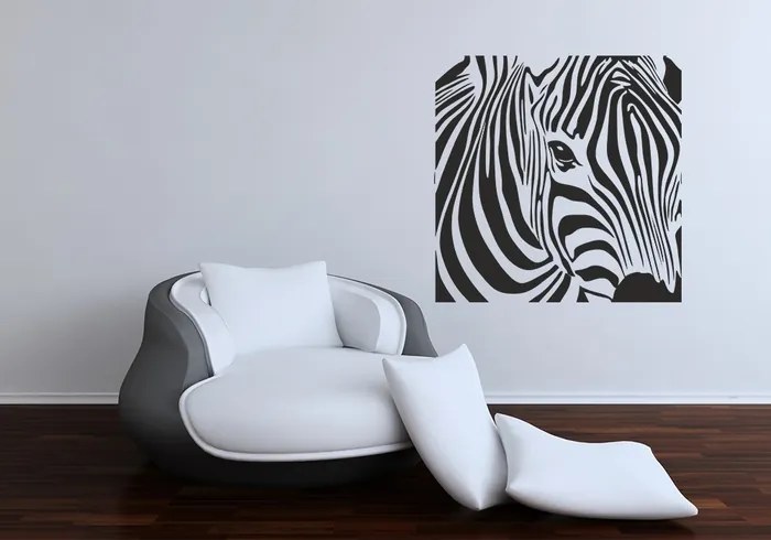 IMPAR Samolepka na zeď Zebra ve čtverci (Velikost: 60 x 60 cm)