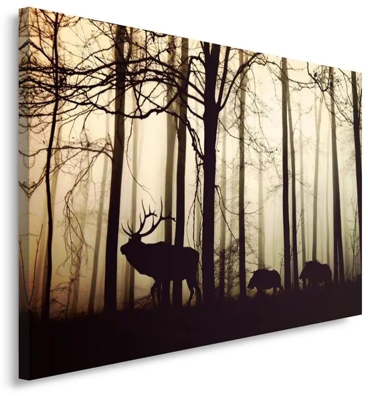 CARO Obraz na plátně - Animals In The Forest 40x30 cm