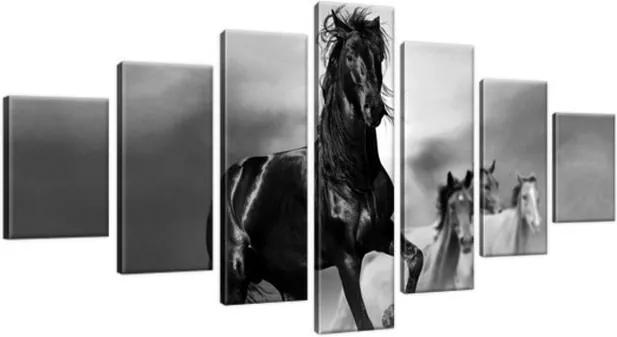 Tištěný obraz Pozorný černý kůň 210x100cm 2501A_7A