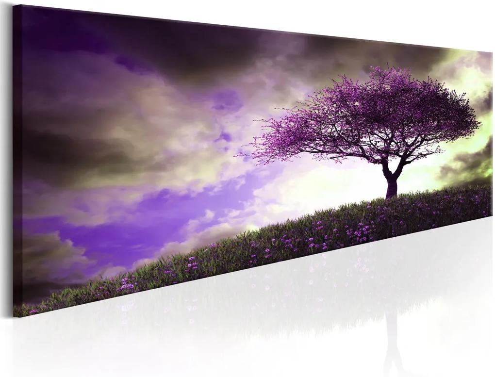 Obraz strom fialový + háčky a hřebíčky ZDARMA Velikost (šířka x výška): 135x45 cm