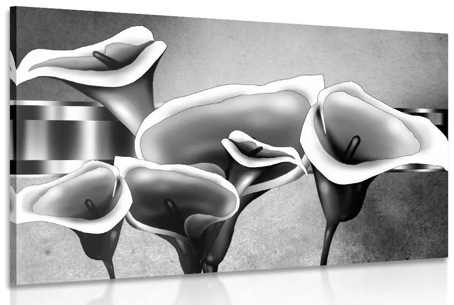 Obraz elegantní květy kaly v černobílém provedení Varianta: 60x40