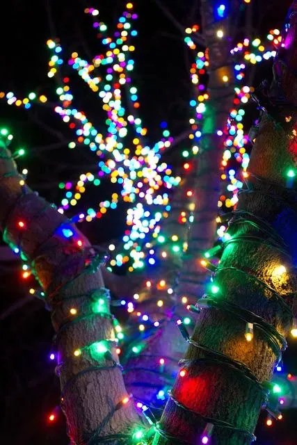 Vánoční světýlka venkovní FLASH multicolor 300 LED