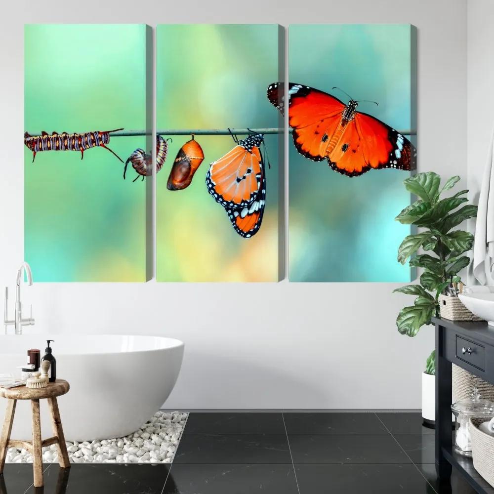 Vícedílný obraz Barevné Housenky A Motýli V Makro Měřítku Nedostatek Nedostatek Plátno Canvas 120x80