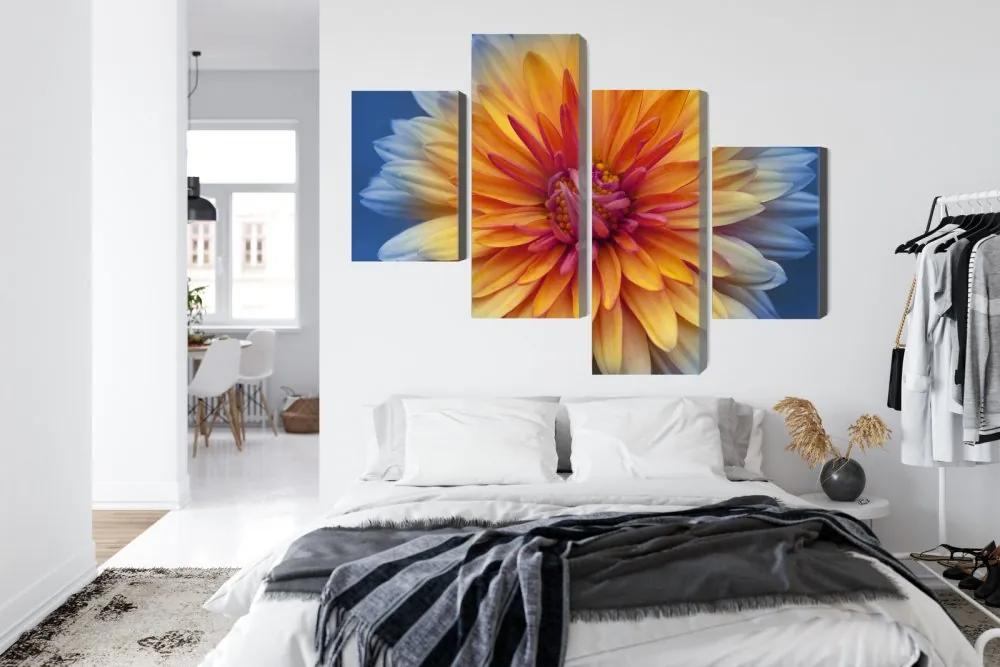 Vícedílný obraz Chryzantéma Květina Zblízka 3D Nedostatek Nedostatek Plátno Canvas 120x75